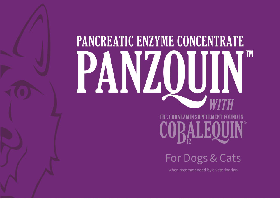 Panzquin - Pancreatic Enzyme Concentrate from Nutramax Laboratories ...